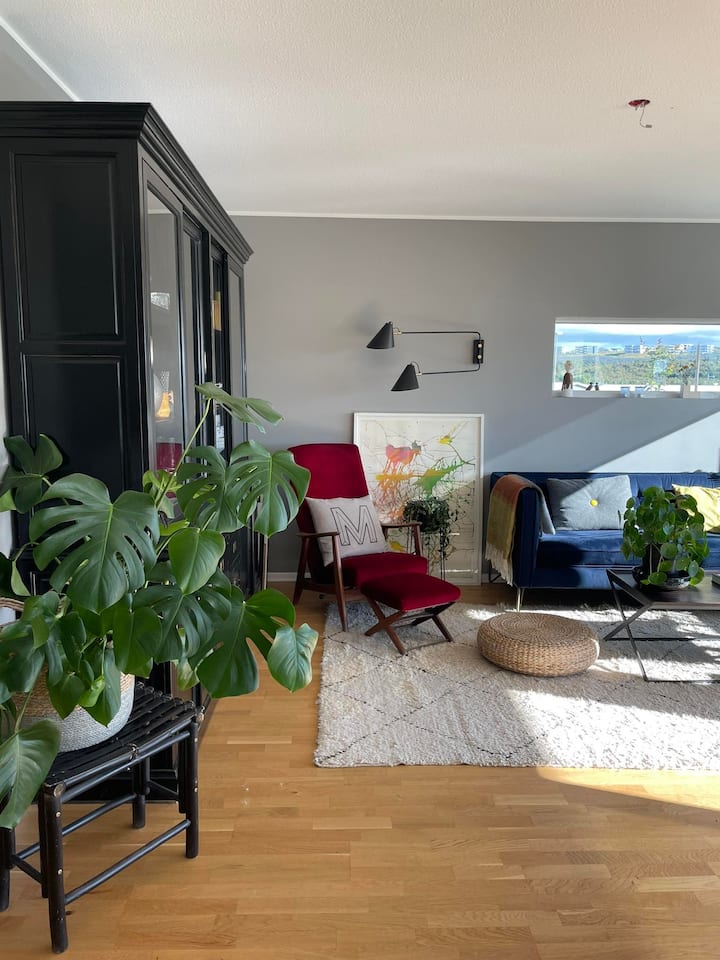 Beautiful 2 Bedroom Apartment, Private Entrance - Reykjavík