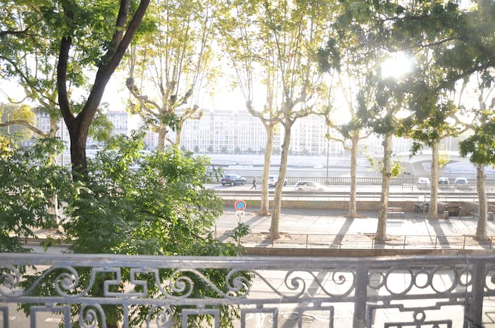 Appartement Duplex Vieux Lyon Centre- Vue Saône - Lyon