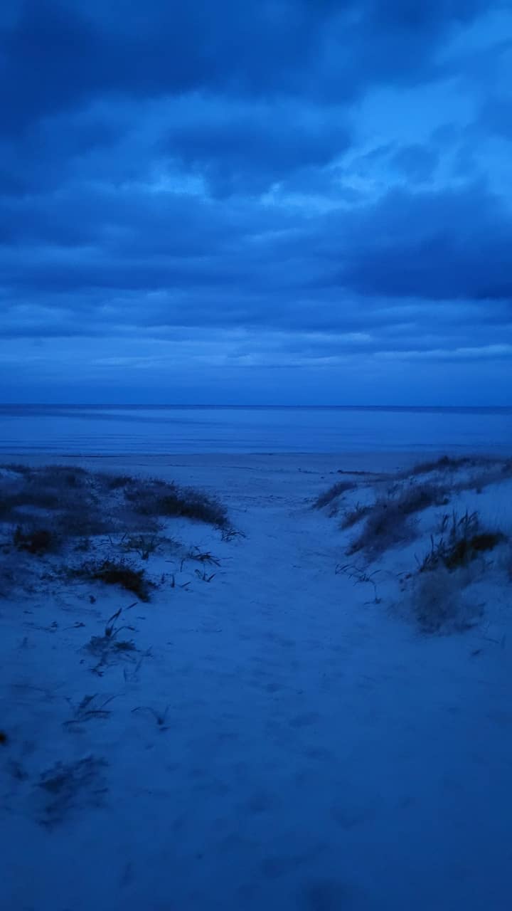 Pitty House Mare Sardegna  Monolocale In Villa - Siniscola