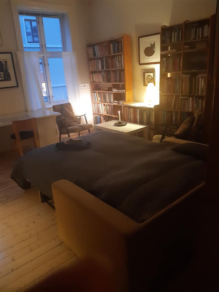 Large Cozy Room Near Oslo Central Station - Oslo