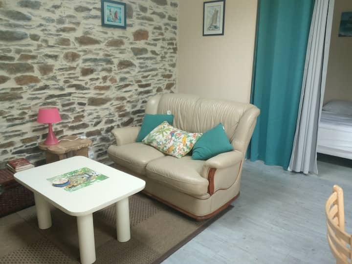 Studio 40m2 En Baie Du Mt St Michel - Hirel
