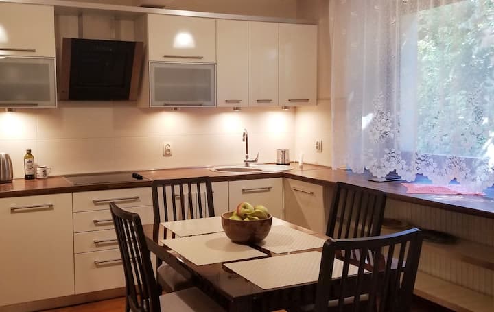 Spacious Private Krakow House - Great For Groups! - Krakau