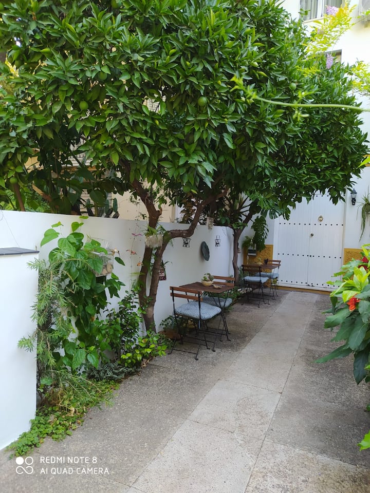 Siéntete En Tu Hogar En Pleno Centro De Sevilla - Seville