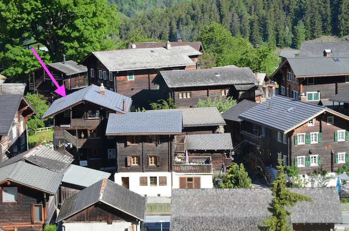 Cozy Apartment In The Heart Of Ernen, 1st Floor - Fiesch