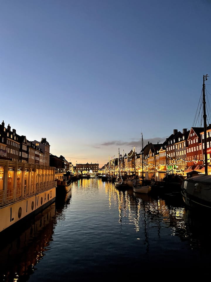 Large Classic Apartment In The Heart Of Copenhagen - Copenhagen