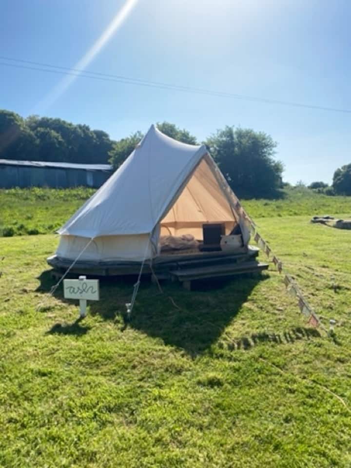 Ash - Beautiful Bell Tent On Sallywood Farm - Tetbury