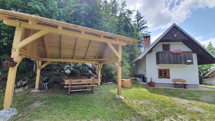 Woodlands Cottage - Bled