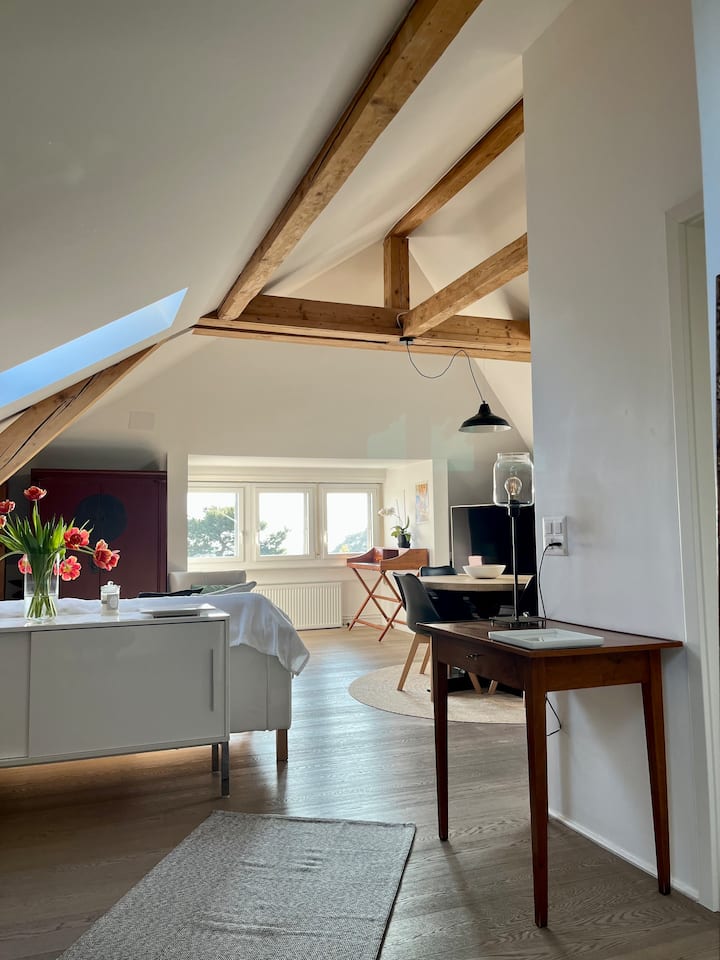 Loft Lumineux Au Bord Du Lac, Lausanne-ouchy - Lausanne