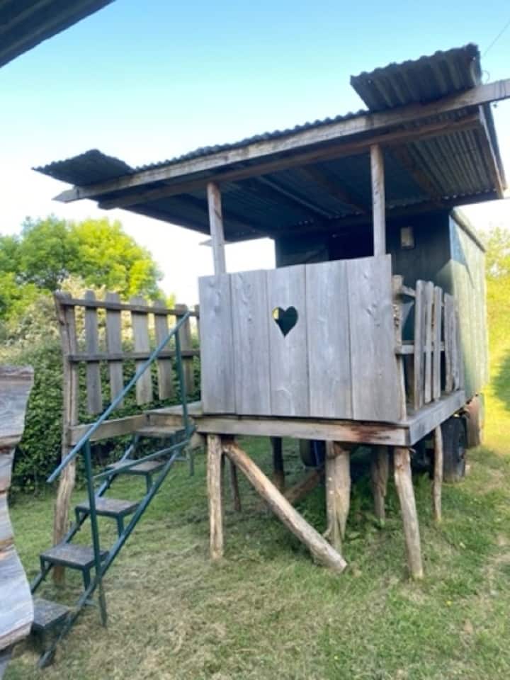 Willows - Secluded Shepherds Hut At Sallywood - Stroud, UK