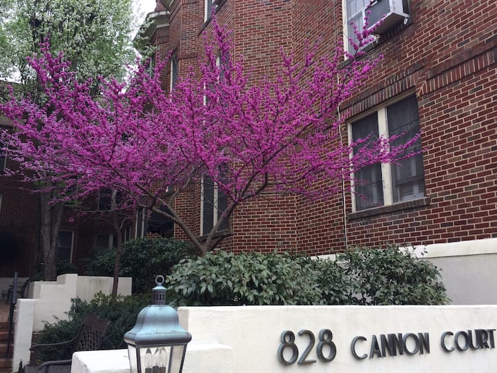 Historic Fisher Park Condo - Greensboro, NC