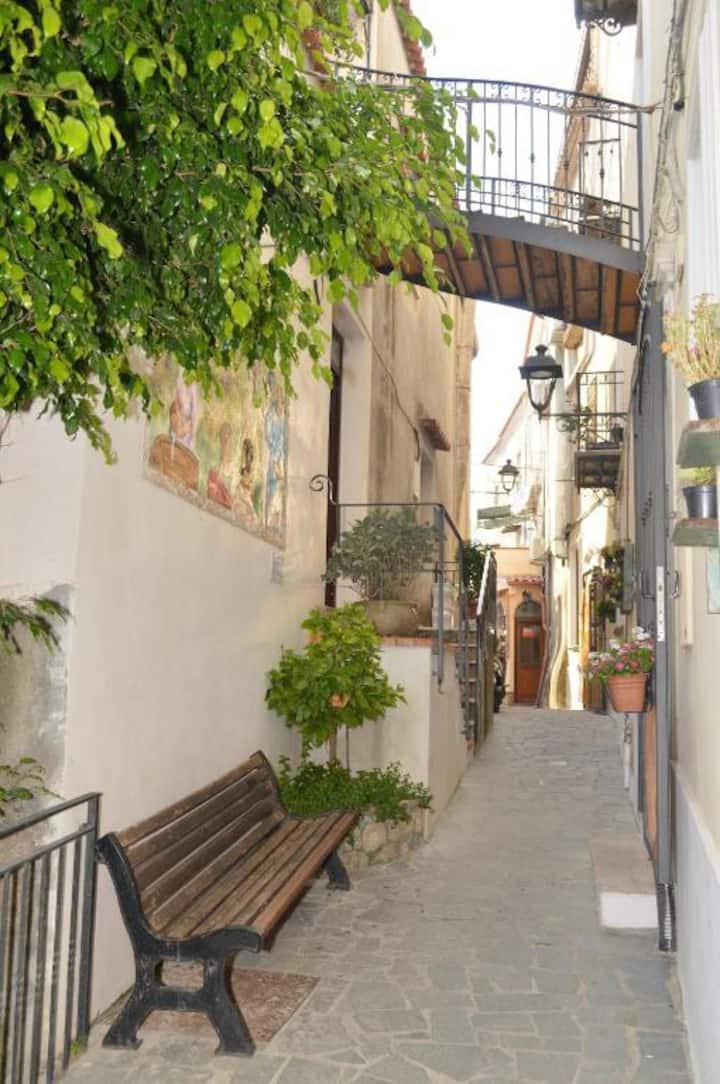 Relax Nel Centro Storico - Mono Con Ter - Gialla - Scalea