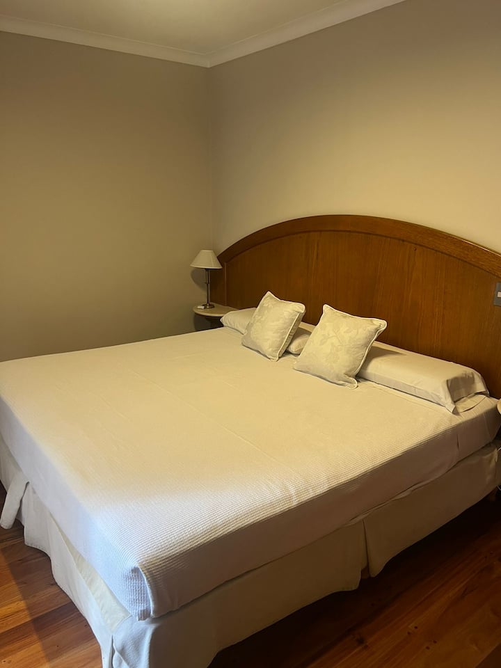 N º 16-depto Céntrico Mendoza Reina Victoria Apt - Mendoza
