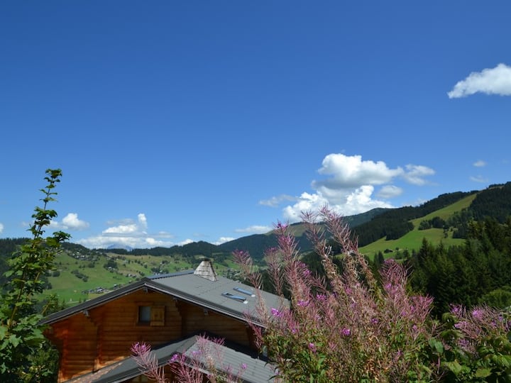 Chalet Au Pied Des Pistes ! - Crest-Voland