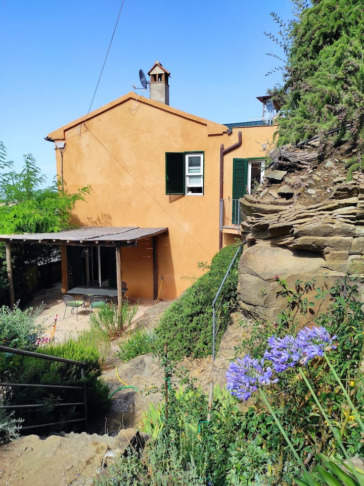 Montiano's Garden - Magliano in Toscana