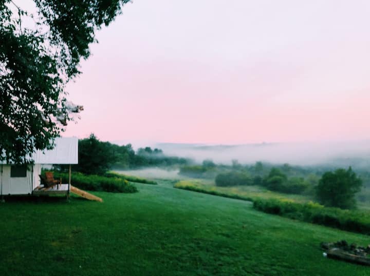 Succurro : Tent With A View - Flow - ニューヨーク州