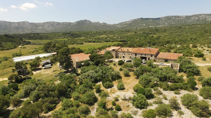 Gîte "La Grande Maison" - Tuchan
