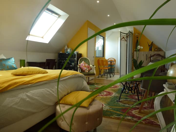 Chambre Appartement Roscoff - Roscoff