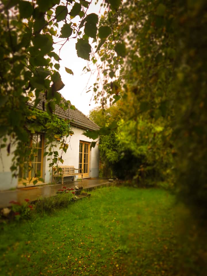 Séjour Confortable Au Vert à Bruges - Brujas