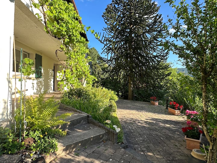 Paradise For Nature Lovers In Heidelberg - Heidelberg