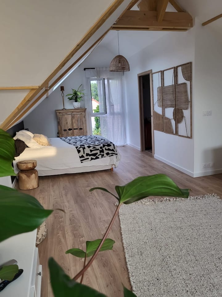 Extension Maison - Eure-et-Loir