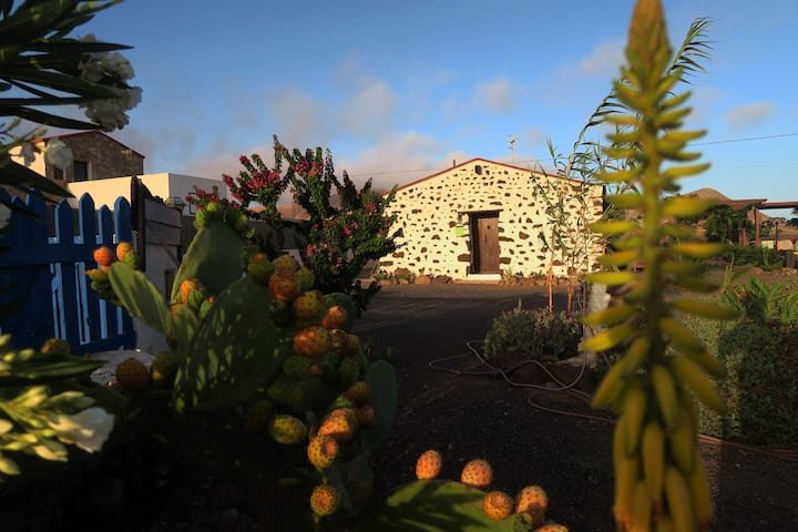 Guest House Soleario - Fuerteventura
