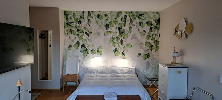 Studio "Ligne Bleue" - Centre Ville - Classé * * - Colmar