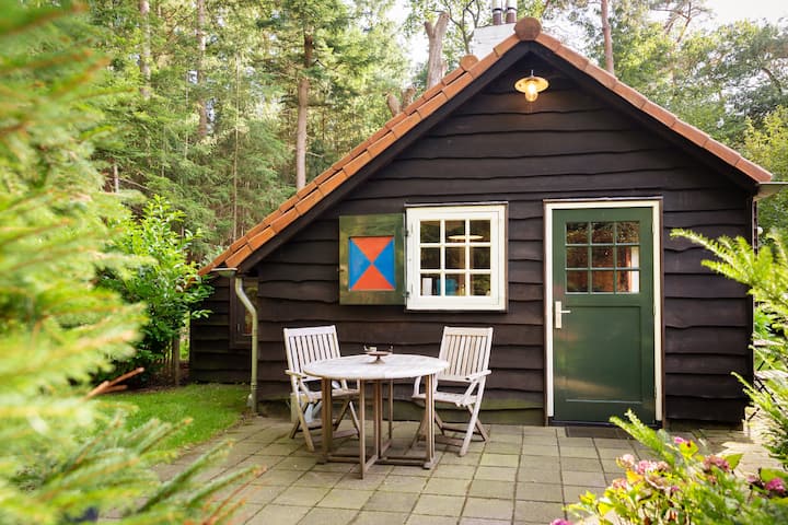 Cottage: A Cosy Cabin In The Woods - Nunspeet