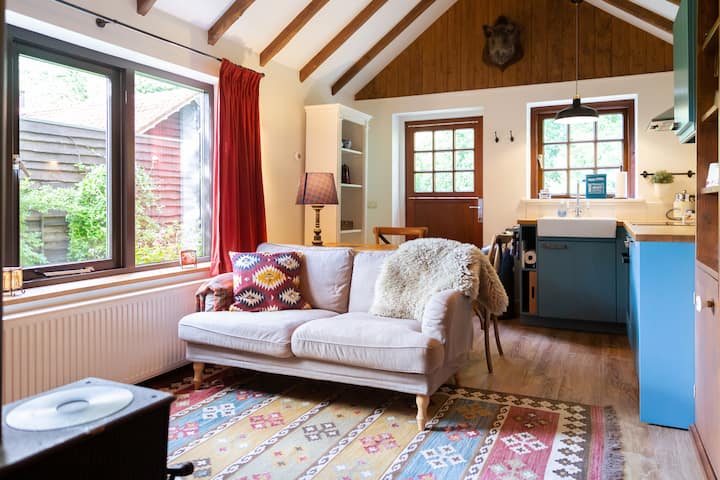 Cottage: A Cosy Cabin In The Woods - Nunspeet