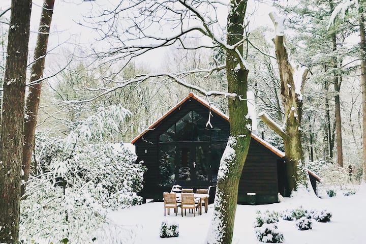 Treehouse Studio: Stylish Luxury In Forest - Nunspeet