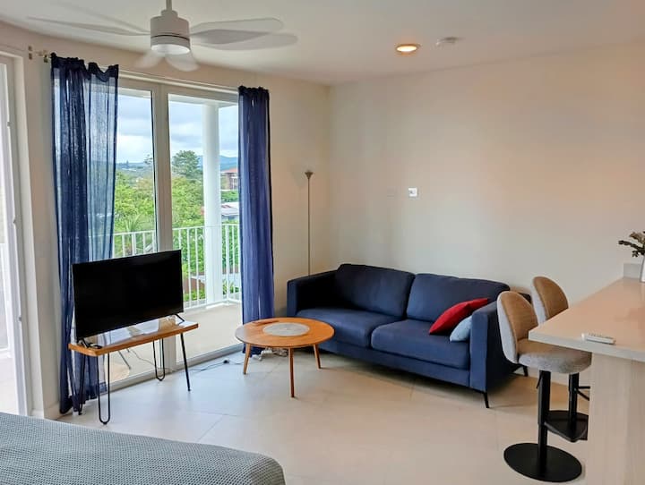Pacific Point Beachfront Oceanview Studio - Jaco