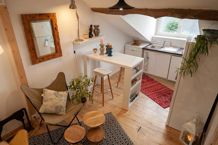 Saint Martin Sous Les Toits - Périgueux