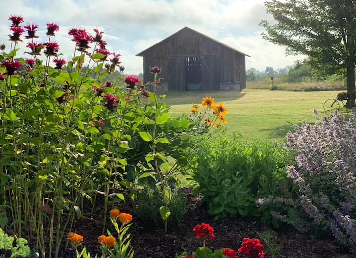 Peach Creek Farm - Michigan