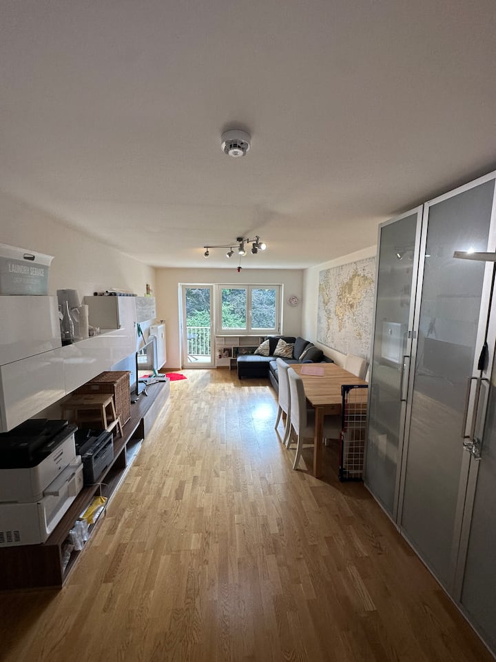 Gesamte Unterkunft-apartment In Schwabing (3pers.) - München