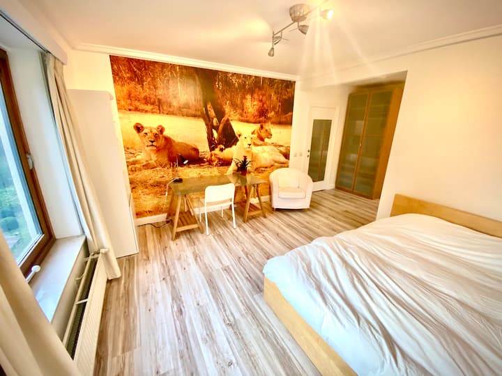 Studio Comfortable Avec Place De Parking Et Spa - Zaventem