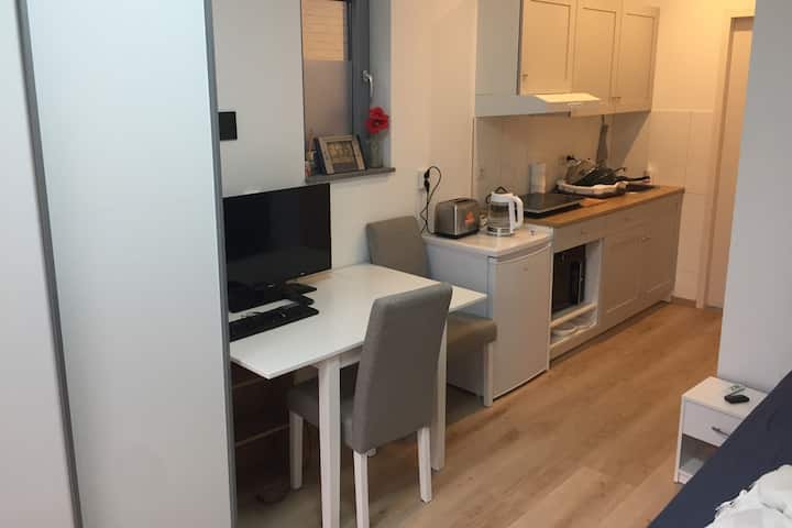 Adorable 1-bedroom Independent Studio With Parking - Terneuzen