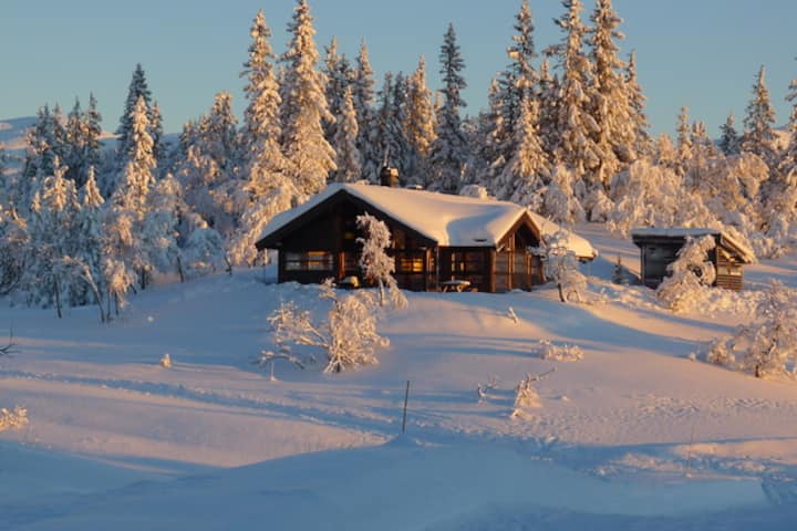 Super Beliggenhet, Vestsiden Av Norefjell - 挪威