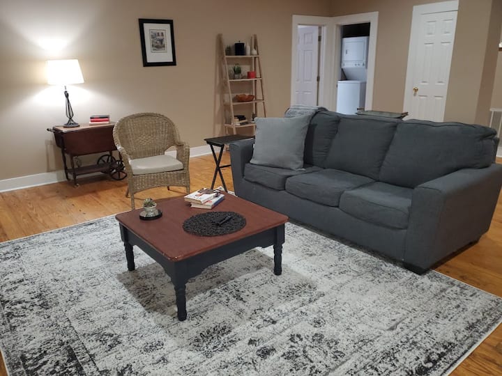 Big Downtown Meridian 1000sqft Apartment - Meridian, MS