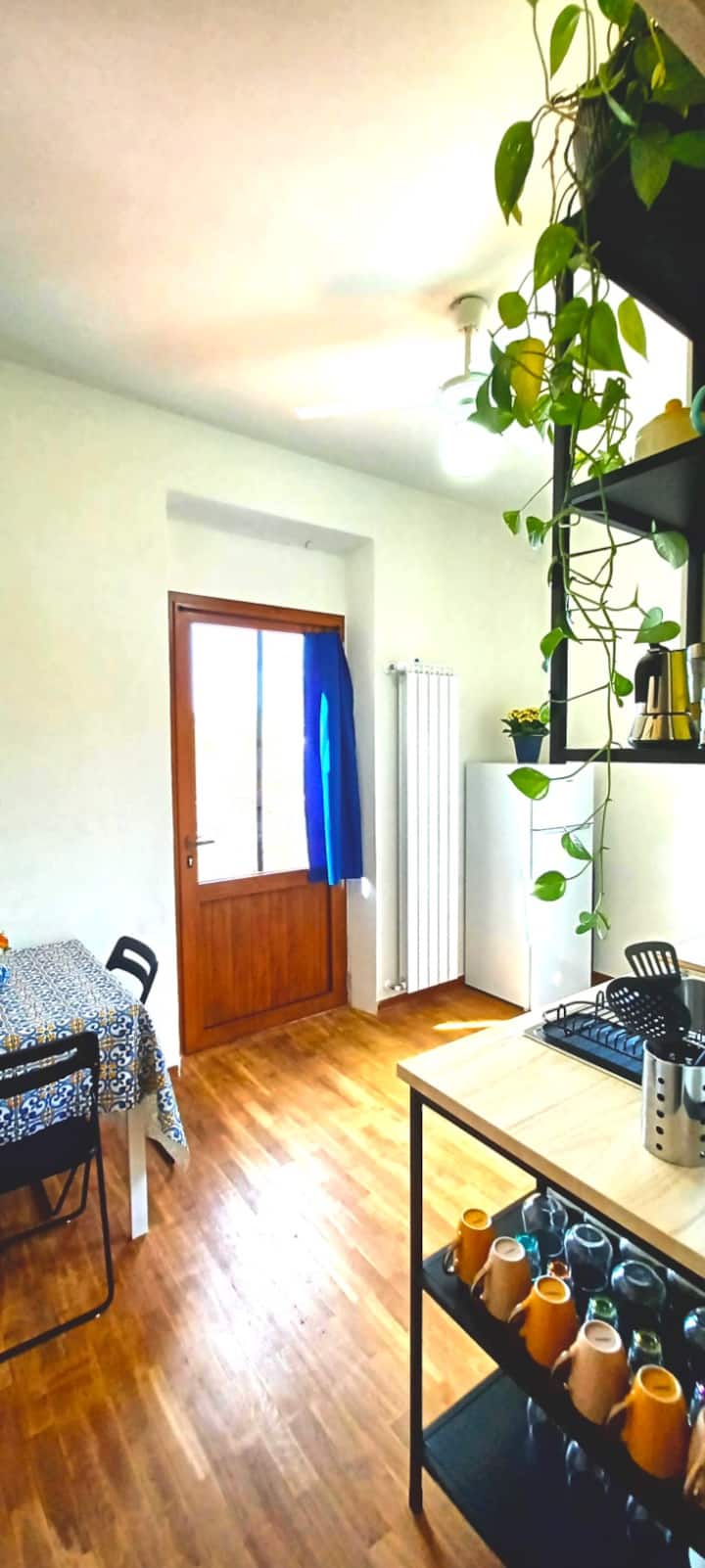 Casa Ortensia - The Attic - Lucca