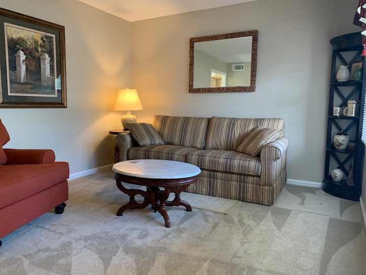Kit And Caboodle - Pleasing Condo For Guests - High Point, NC
