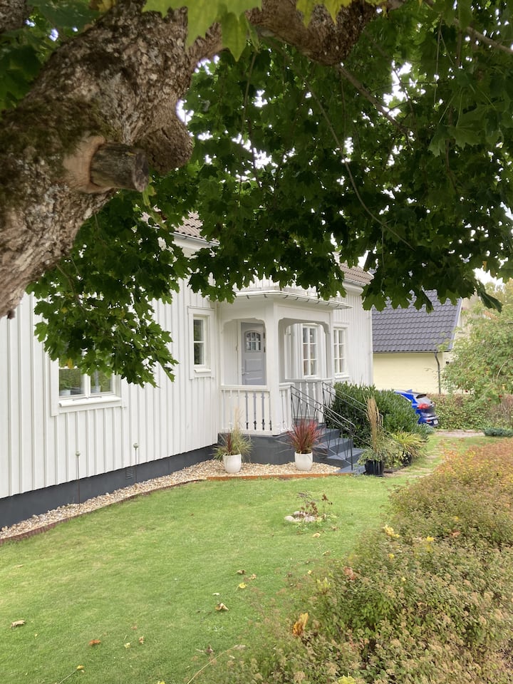 Hus Centralt I Grönområde - Värnamo