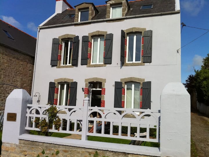 Les Mouettes De Kerguelen - Audierne