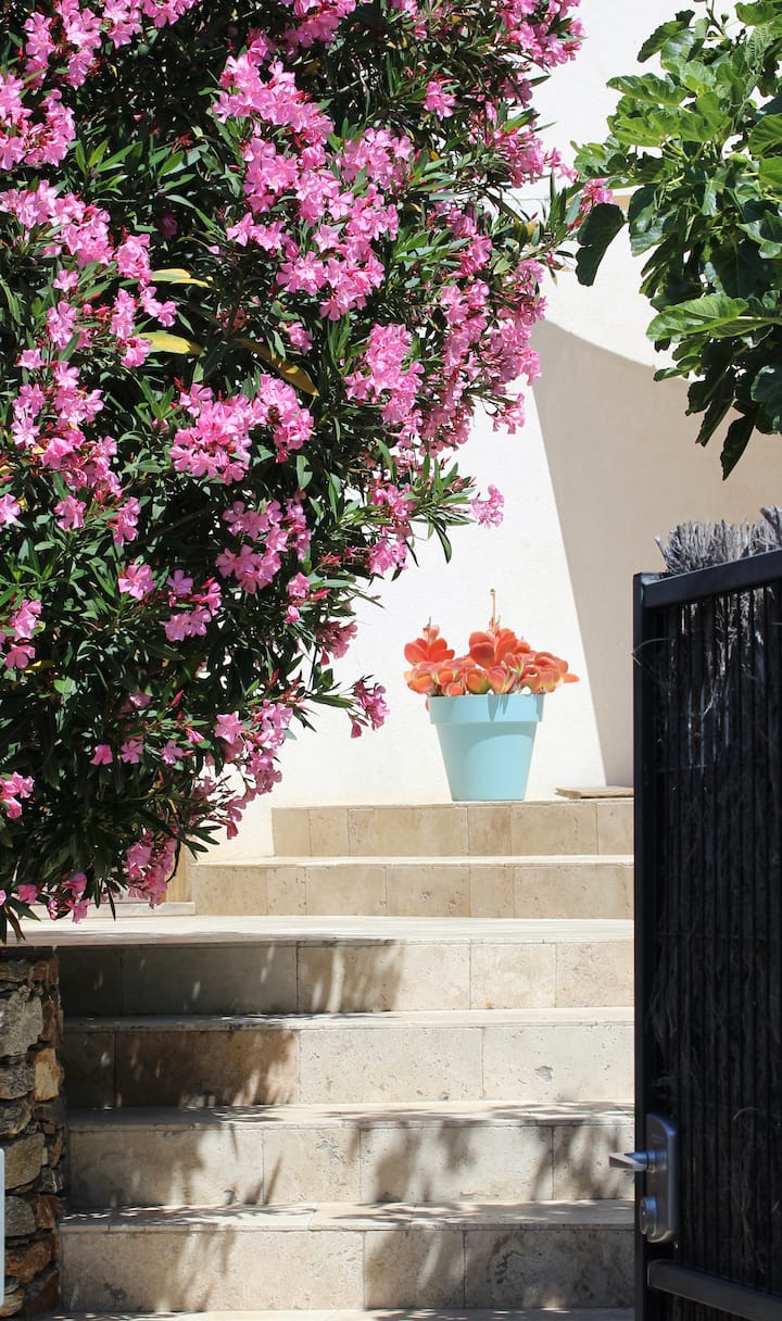 Charmant T2***climatisé, Terrasse Arborée, Parking - Plage de Saint-Clair