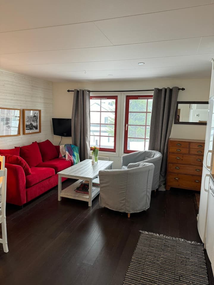 Alptoppen 10 C Ski-in/out - 奧勒