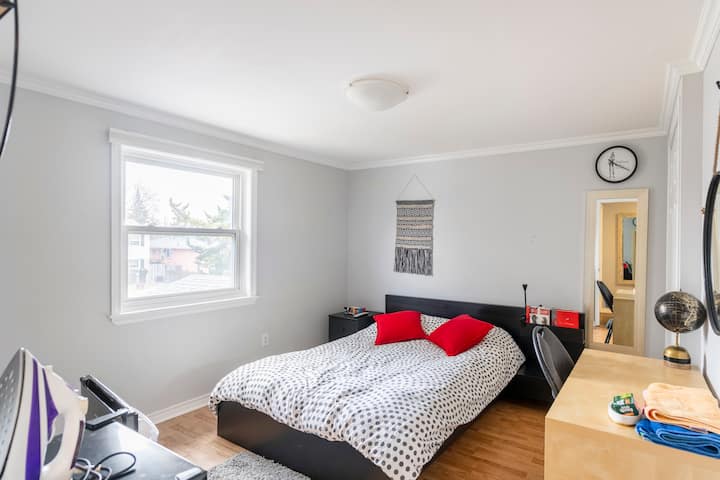 The Bear Necessities - Newmarket