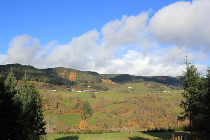 Gîte "Les Jonquilles Iv" - Sainte-Marie-aux-Mines