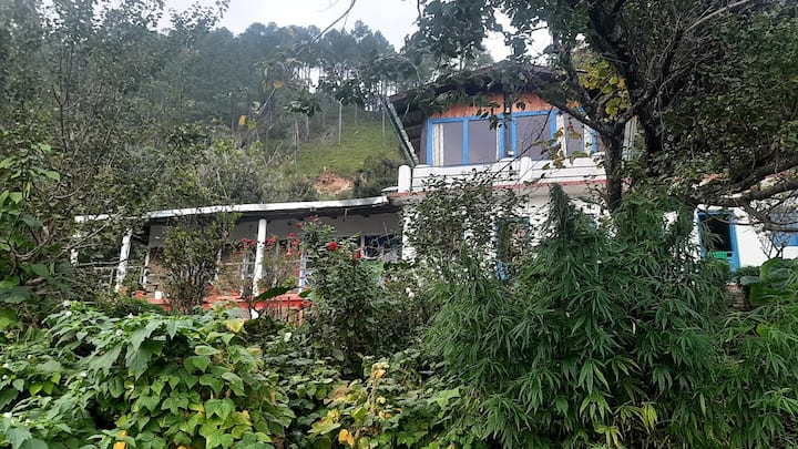 Quaint Homestay In Binsar Sanctuary - Barbett Room - Binsar