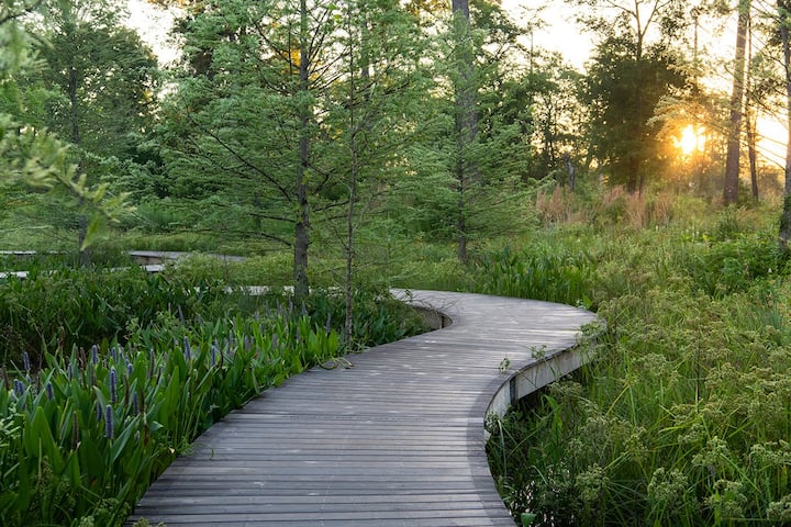 Nature Lover's  Executive Condo Near Park/downtown - Houston, TX