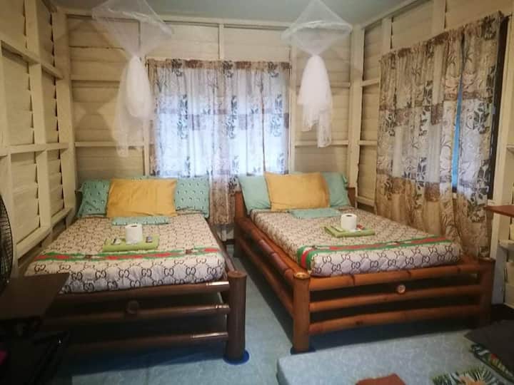 Beach Cottage Fronting Apo Island - Zamboanguita