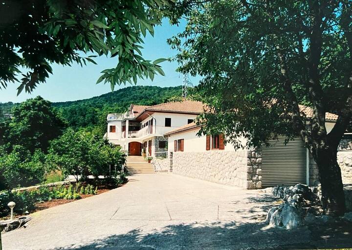 Villa Mittler Is In A Nice Forest Overlooking Sea - Lovran