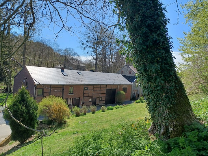 La Ferme Du Couchant: Charme En Bord De Rivière. - Wellin